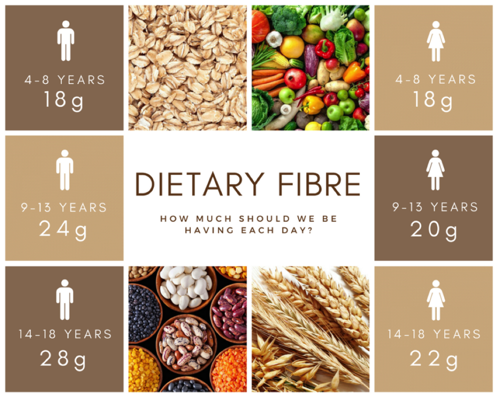 Fibre – What is it and why do we need it? - Healthy Kids
